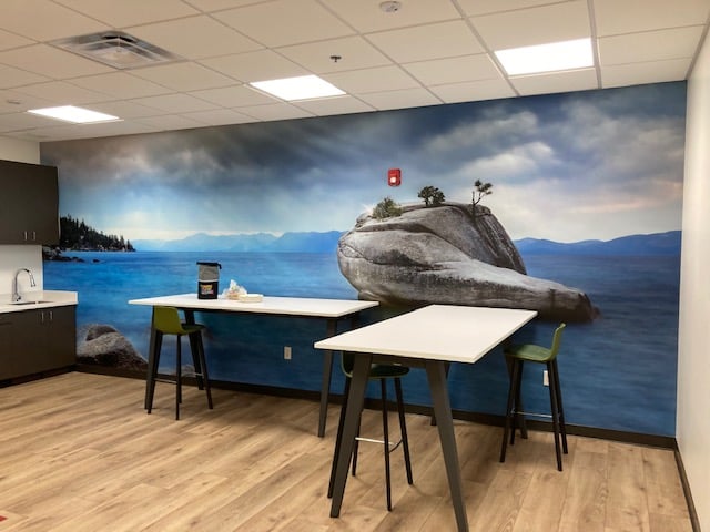 Employee Breakroom Wall Murals