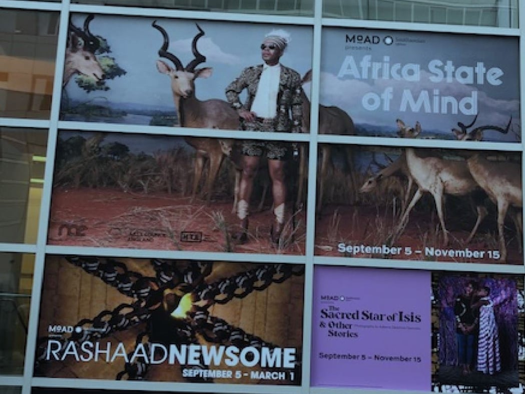 A Window into the Museum of African Diaspora (MoAD)